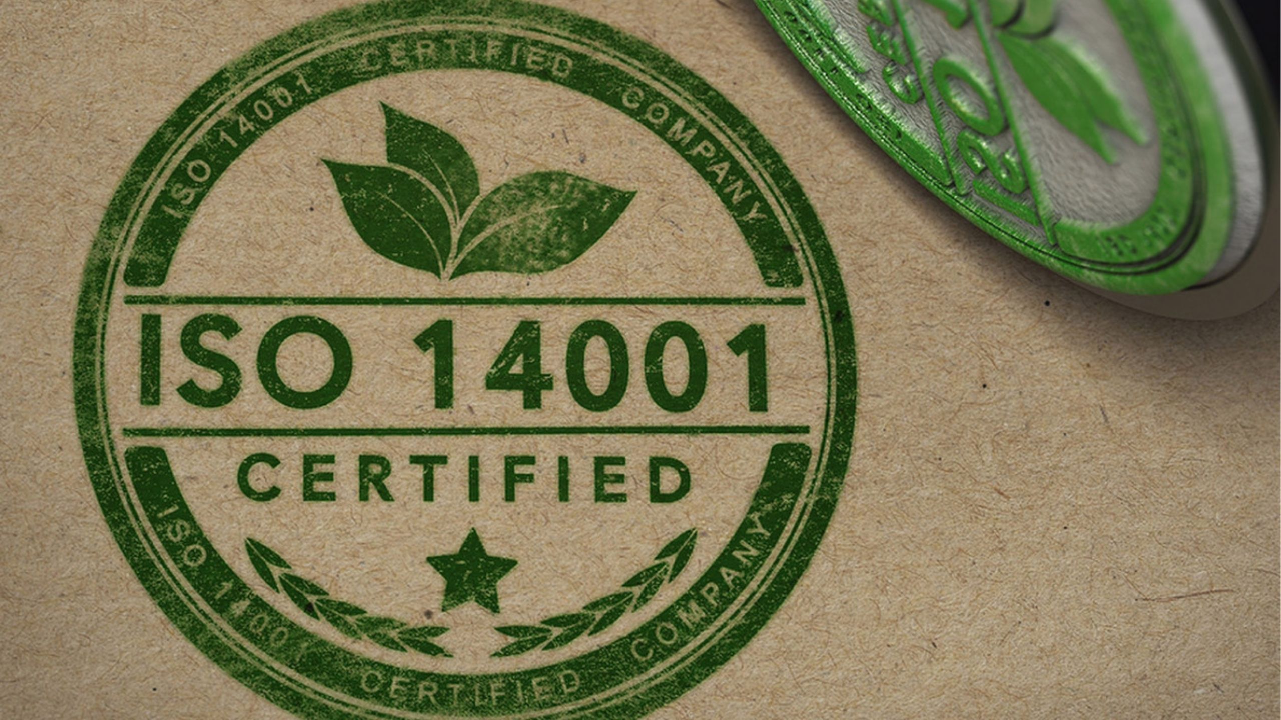 Qual a importância da Certificação ISO 14001 para sua empresa?