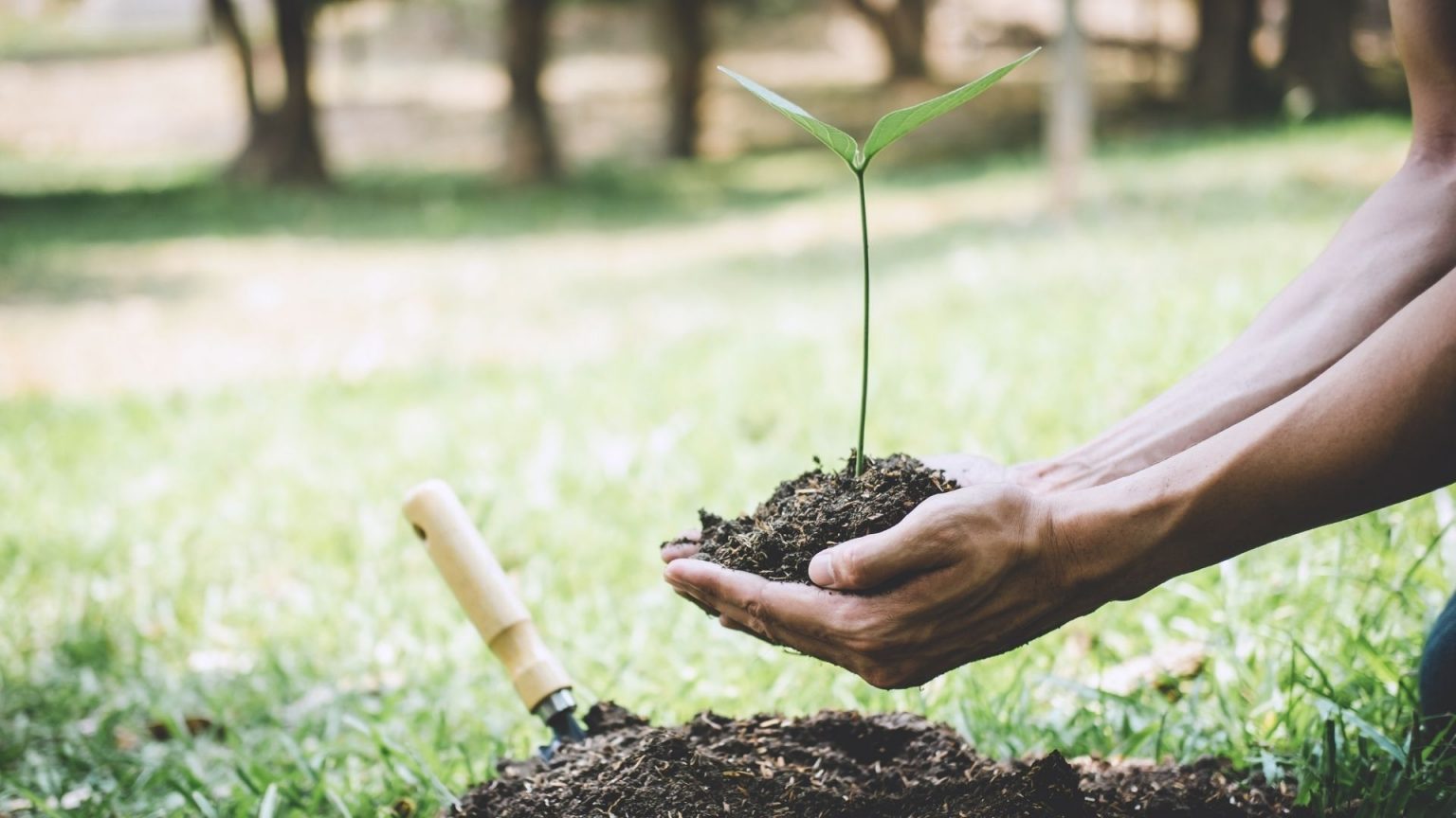 Como reduzir os impactos da agroindústria no meio ambiente? Como reduzir os impactos da agroindústria no meio ambiente?