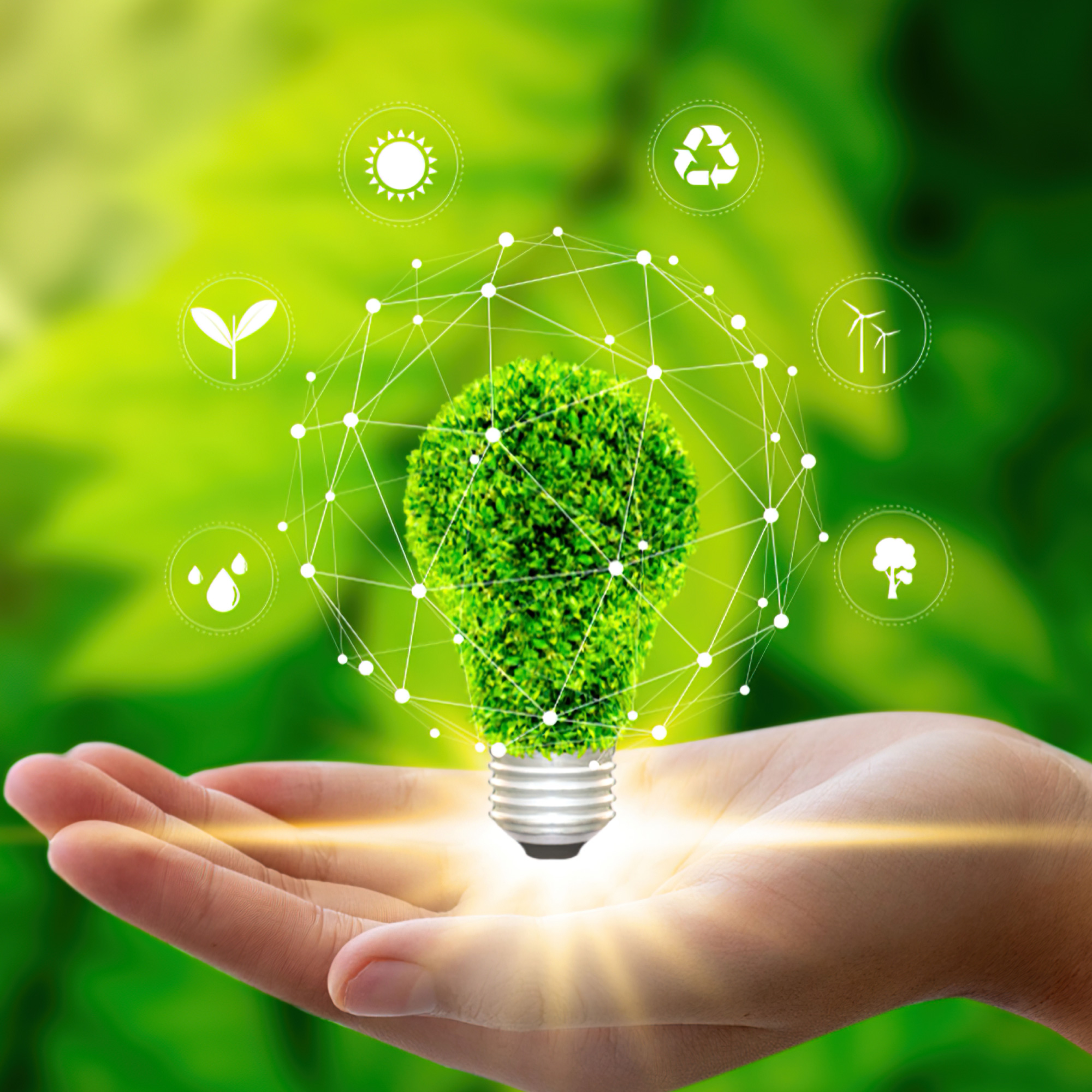 A Importância Da Economia Verde Para O Desenvolvimento Sustentável
