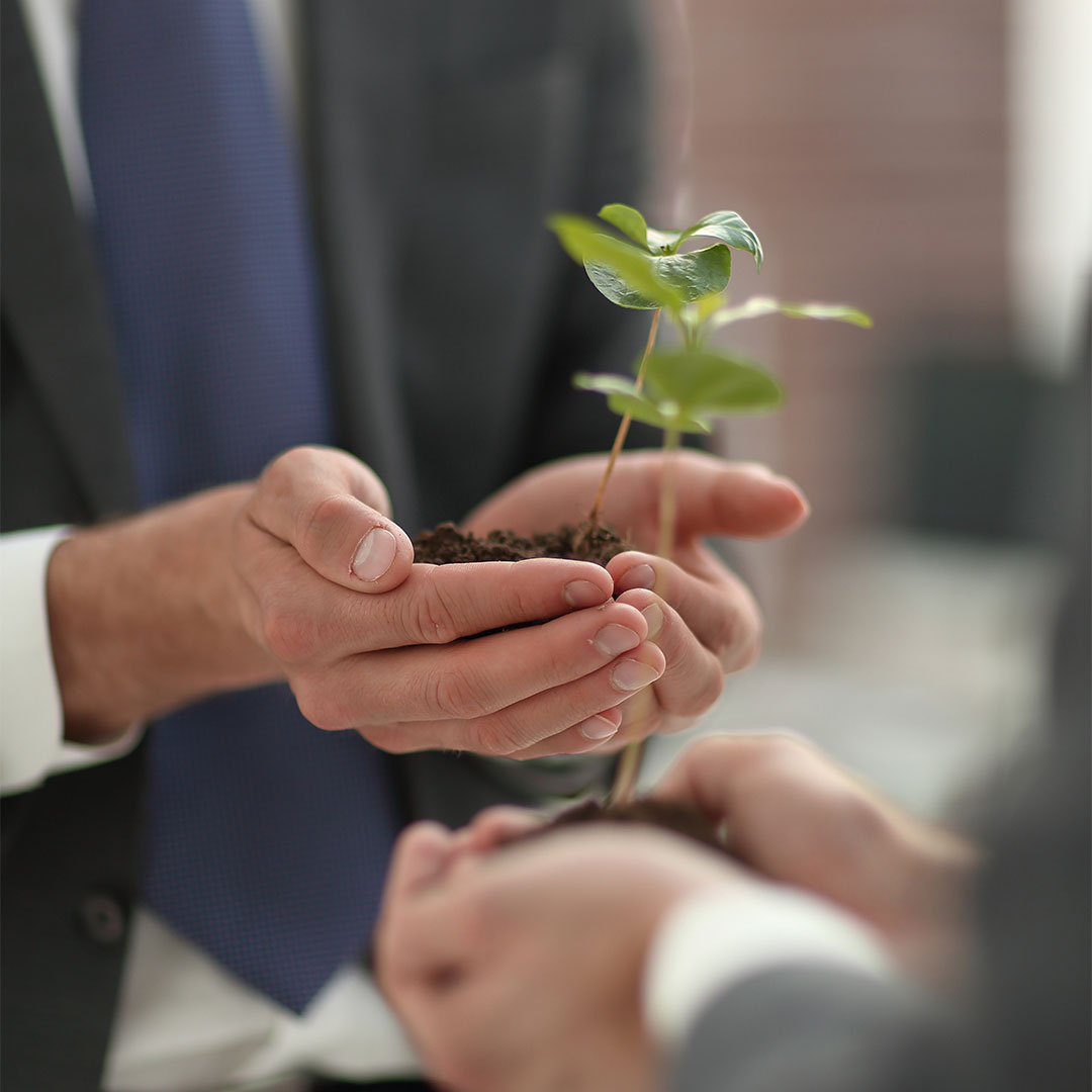 Responsabilidade socioambiental nas empresas: por que você deve se ...