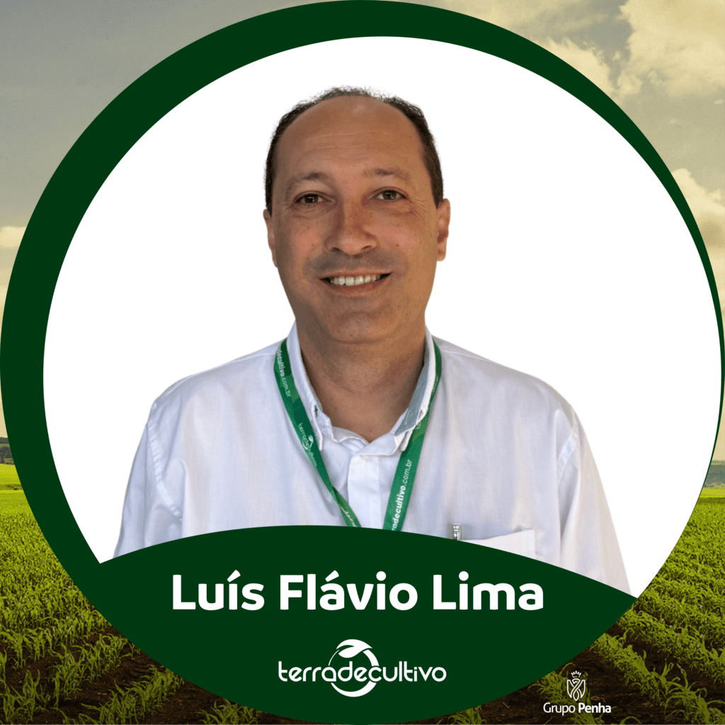 Home | Terra de cultivo