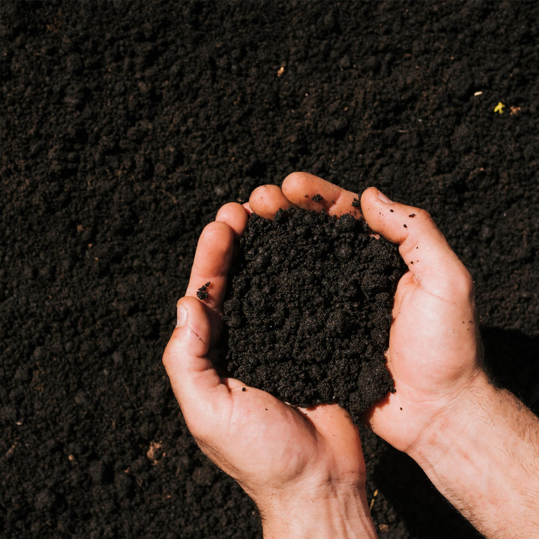 O Que E Solo Humifero - RETOEDU